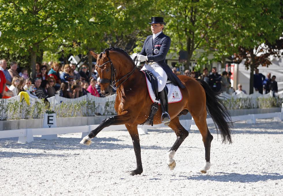 Siege und Platzierungen für die Österreicher in Brno (CZE) - Equestrian ...