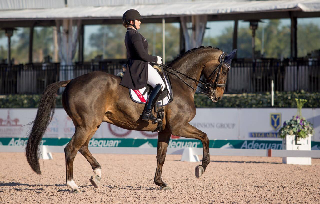 Diana Porsche weiterhin auf Erfolgskurs in Wellington - Equestrian ...