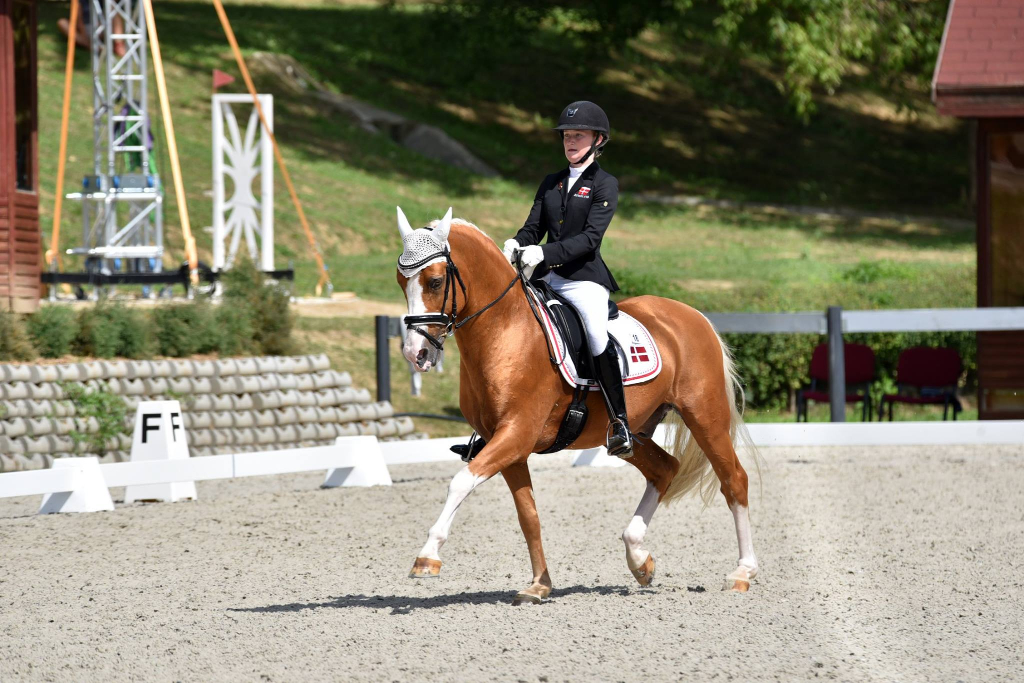 Pony EM Dressur: Titel verteidigt, drittes EM Gold für Lucie-Anouk ...