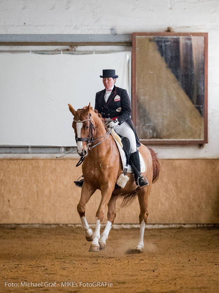 FOTOGALERIE: Das war das CDN-A* in Kottingbrunn (NÖ) - Equestrian ...