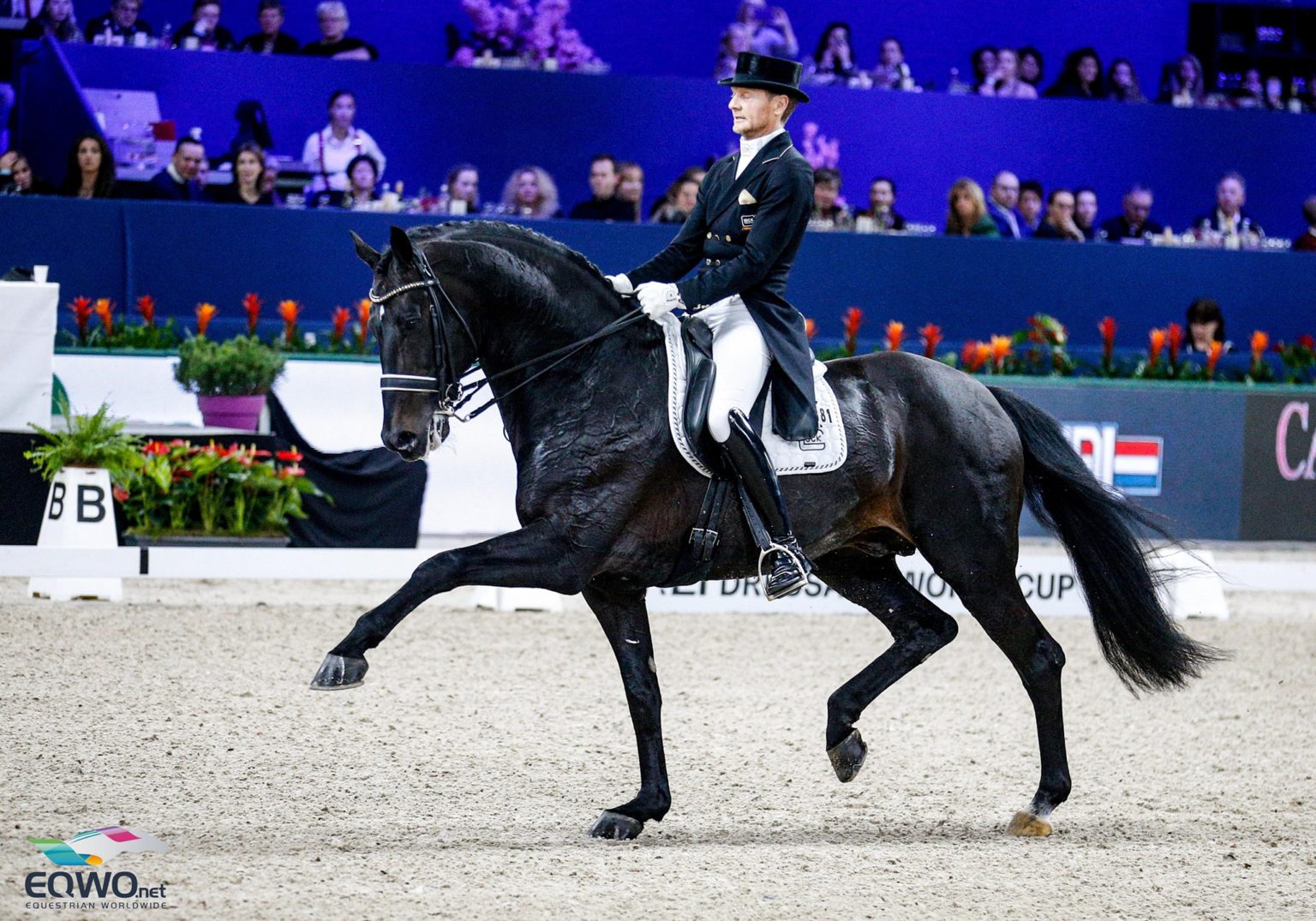R.I.P: GLOCK's Zonik ist tot - Equestrian Worldwide | Pferdesport ...