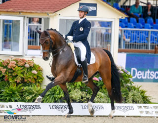 Weltrangliste Dressur: Florian Bacher bleibt bester Österreicher - Equestrian Worldwide ...