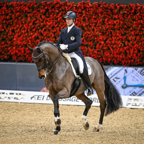 Equestrian Worldwide | Pferdesport weltweit | EQWO.net