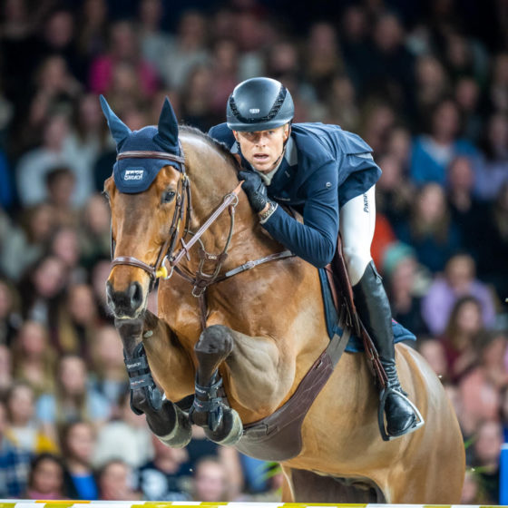 Hanoverian Stallion First Dance Available for Breeding in Kentucky ...