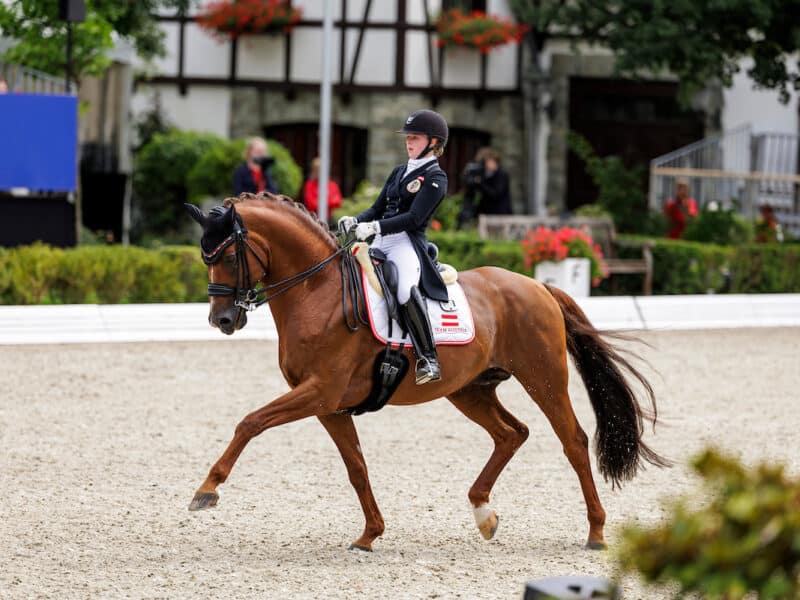 Florian Bacher Kür-Zweiter in Mannheim - Equestrian Worldwide | Pferdesport weltweit | EQWO.net