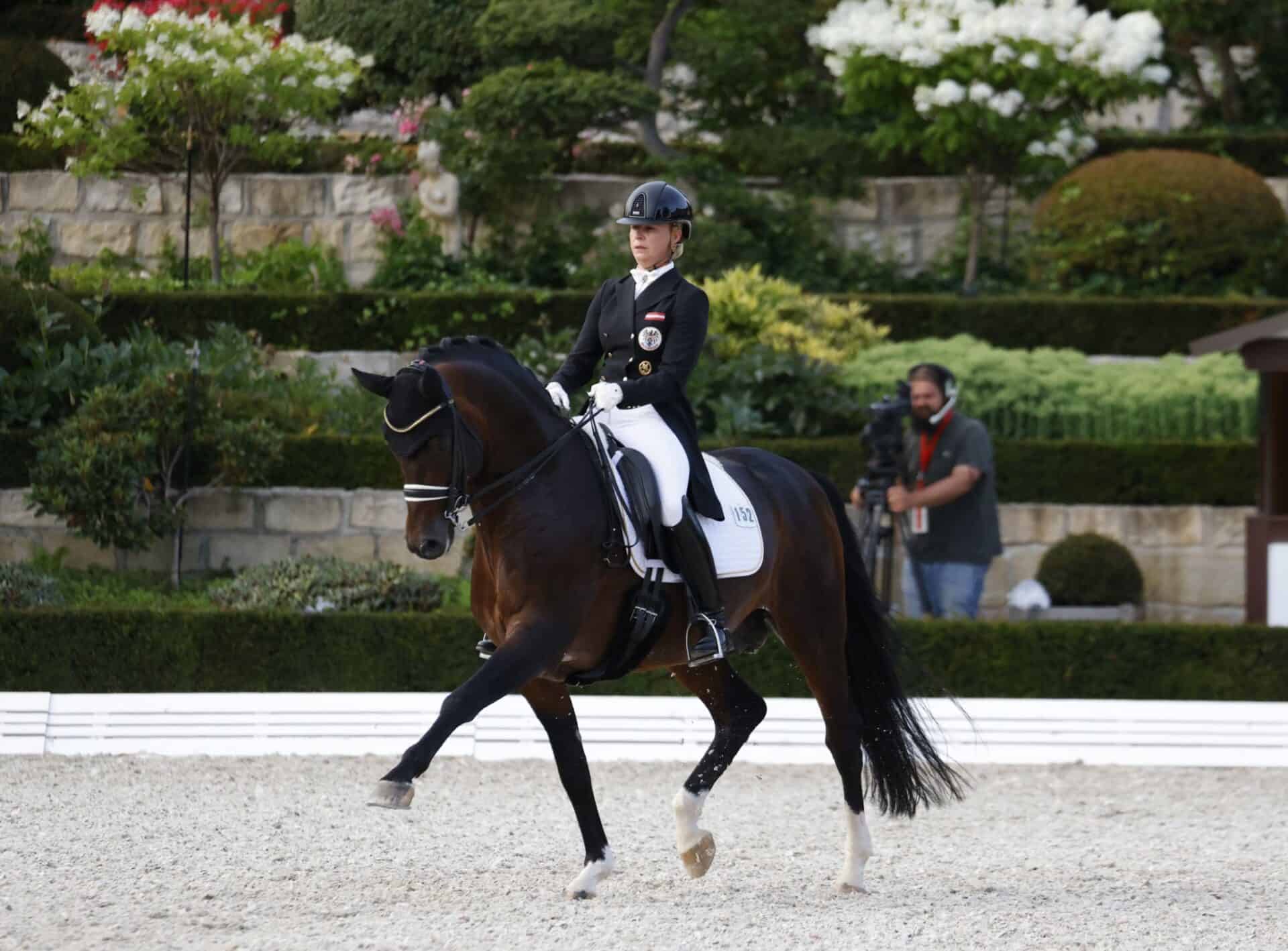 CDI Kronberg: Special-Sieg für Victoria Max-Theuer & Birkhof's Topas ...