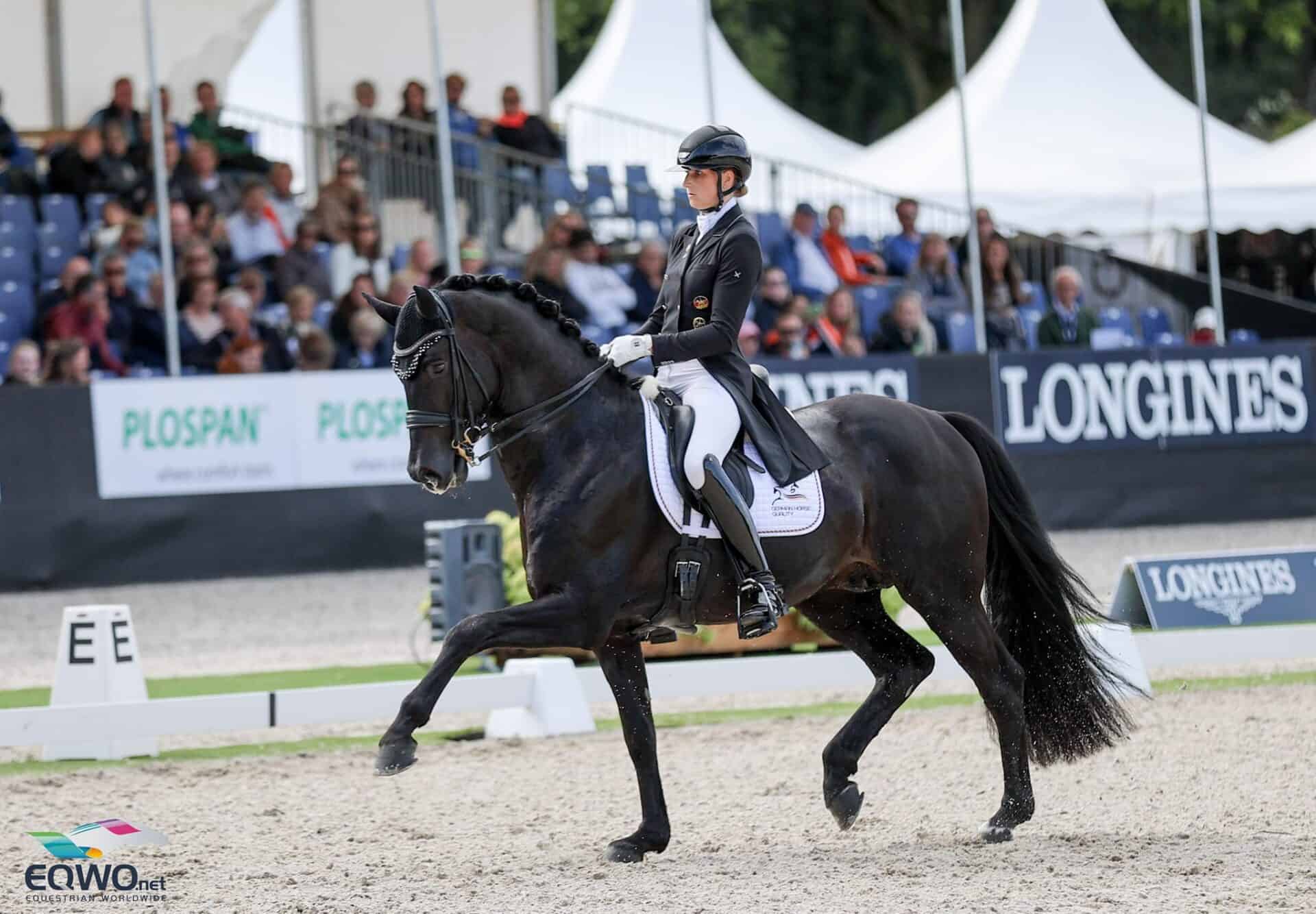 Global Player OLD: Neuzugang auf Gut Aubenhausen - Equestrian Worldwide ...