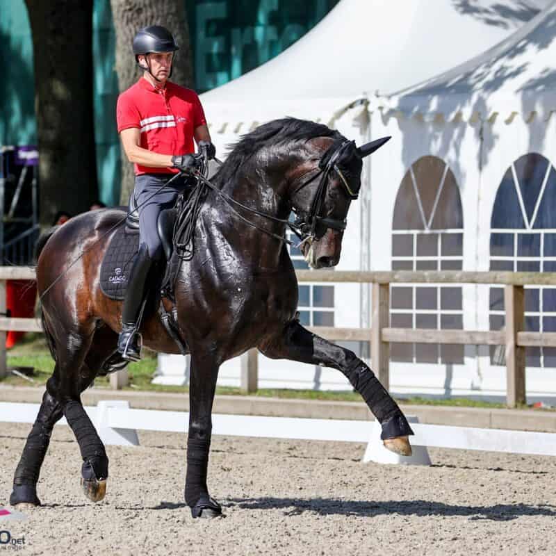 Equestrian Worldwide | Pferdesport weltweit | EQWO.net