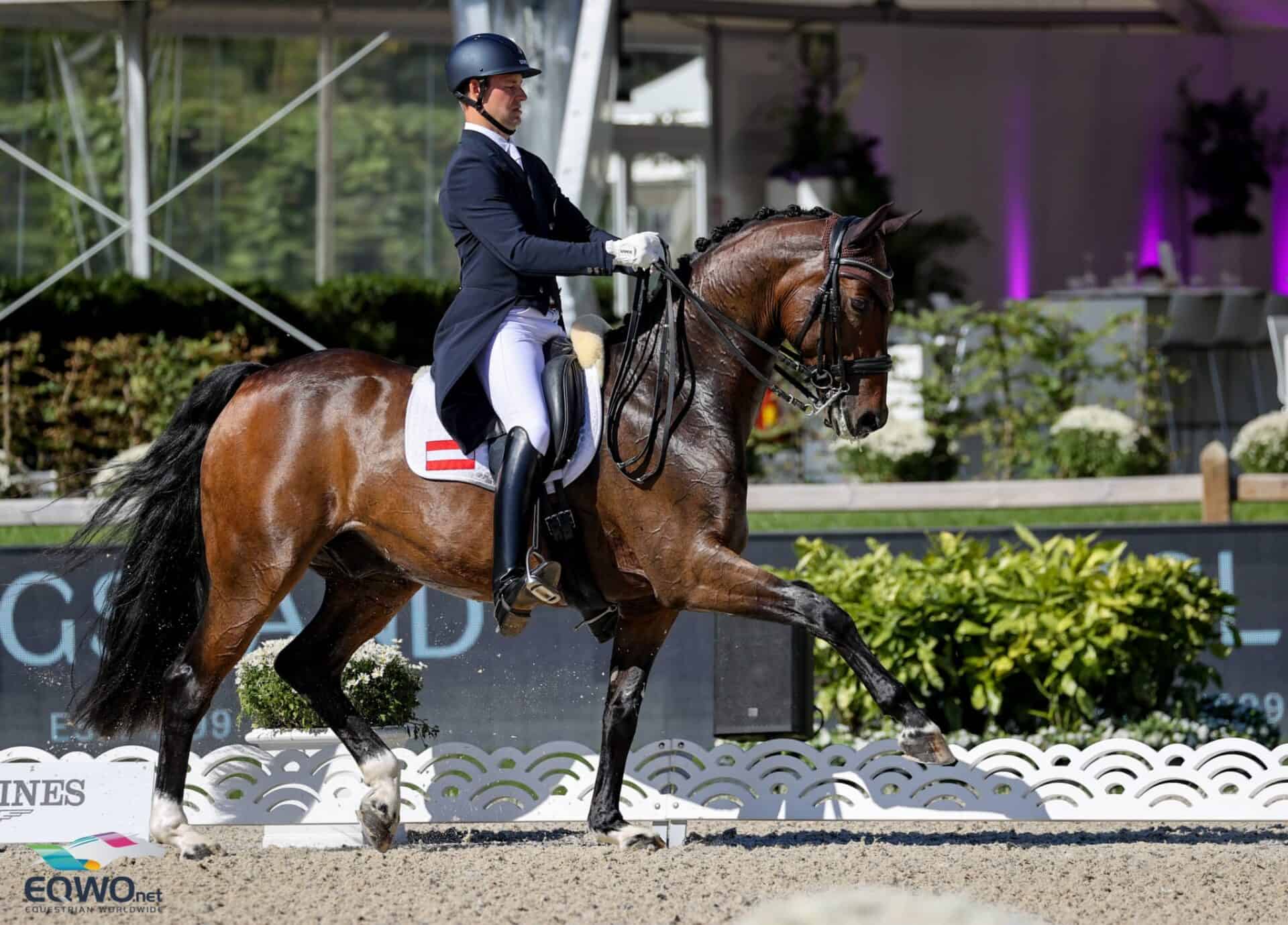 Weltrangliste Dressur: Florian Bacher ist bester Österreicher - Equestrian Worldwide ...