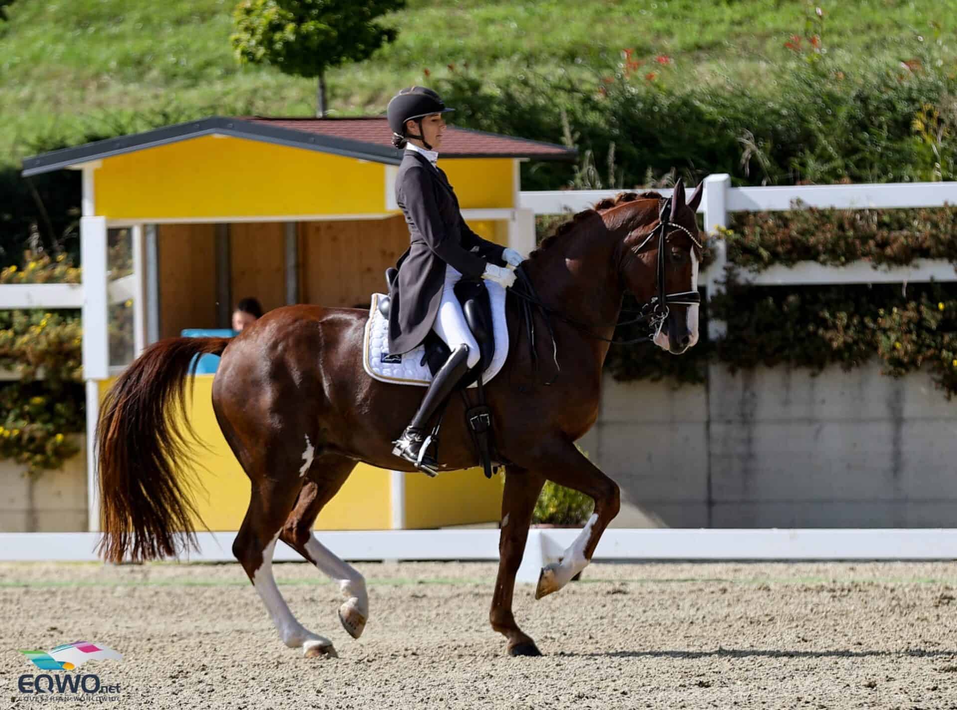 Zwei Titel für das Haus Gmoser-Weinbauer: Das waren die ...