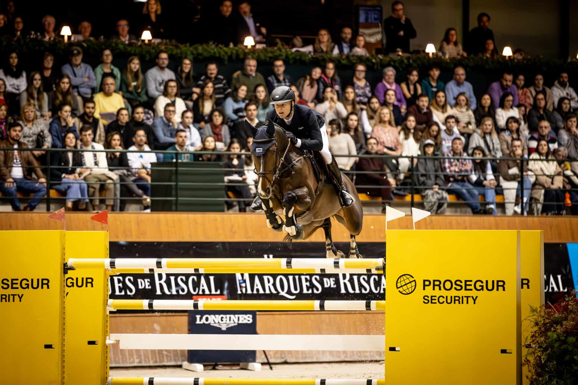 Madrid: Max Kühner wird 5. im Weltcup - Equestrian Worldwide ...