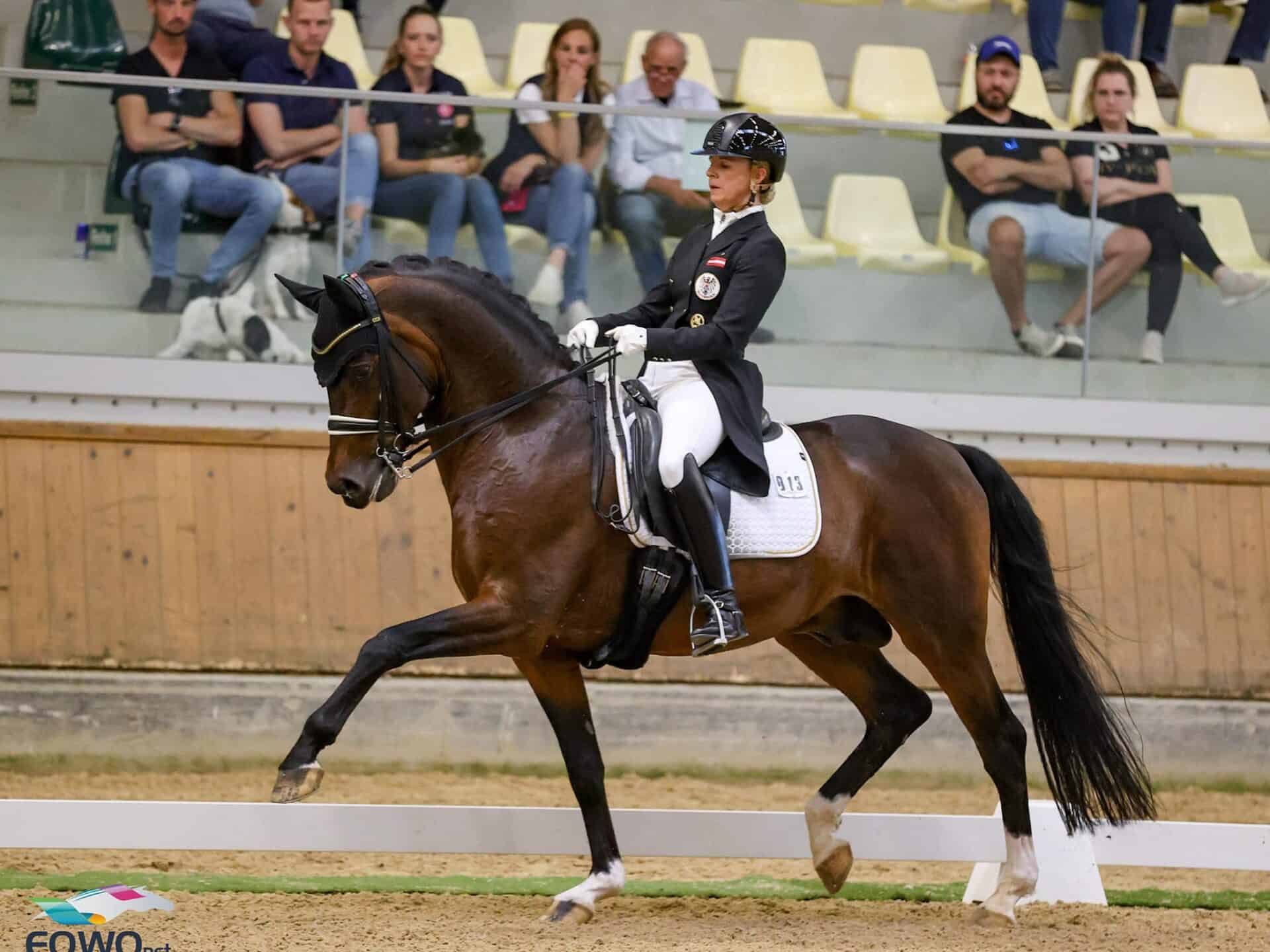 Weltrangliste Dressur: Florian Bacher bleibt bester Österreicher - Equestrian Worldwide ...