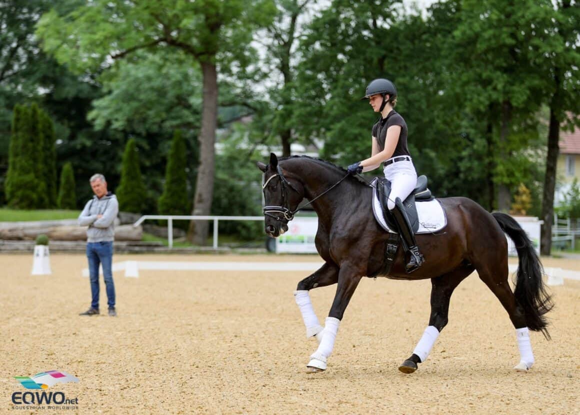 AWÖ-Sichtung für WM der jungen Dressurpferde mit Ulf Möller ...