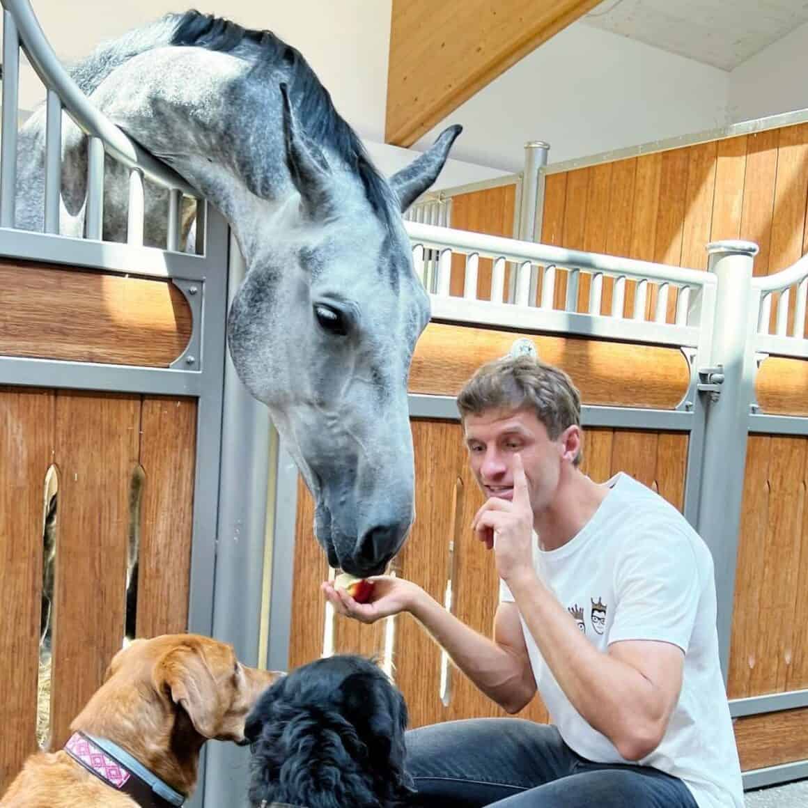 Mannheim: Kür-Sieg für Pepo Puch, Österreich auf Platz drei im Nationenpreis - Equestrian ...