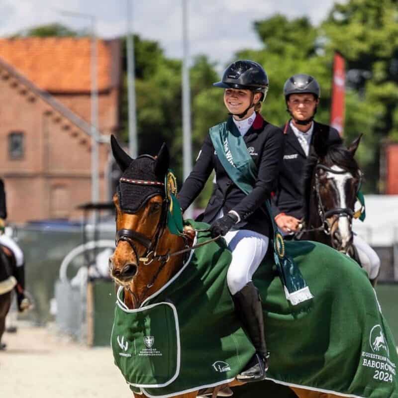 Hanoverian Stallion First Dance Available for Breeding in Kentucky ...