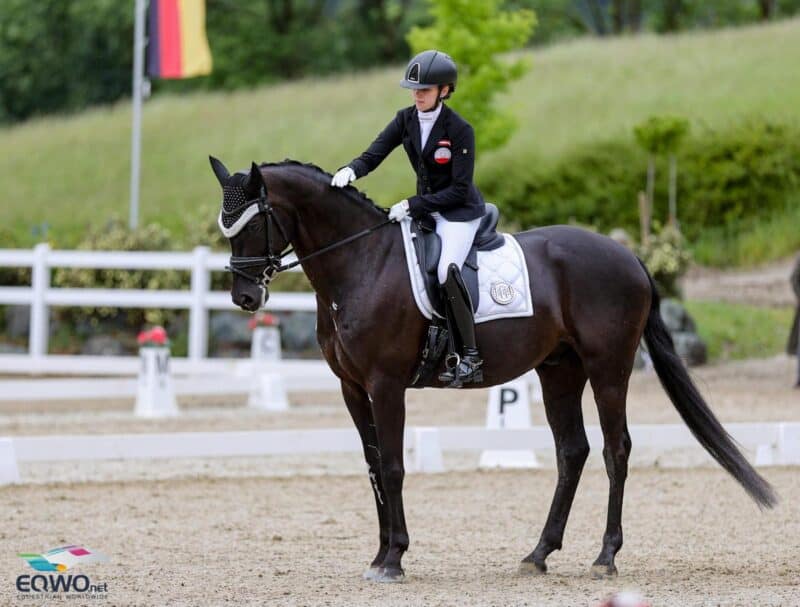 Sichtung, die Zweite: 19 Paare in Fernitz gesichtet - Equestrian Worldwide | Pferdesport ...