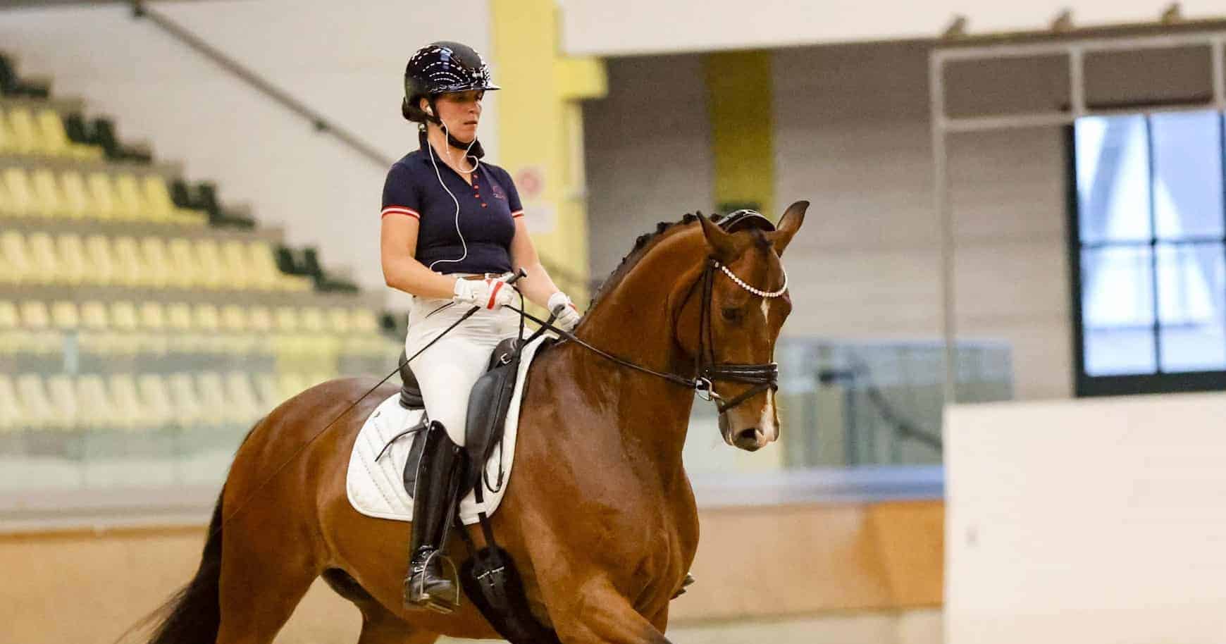 Die AWÖ-Paare für Ermelo stehen fest! - Equestrian Worldwide ...