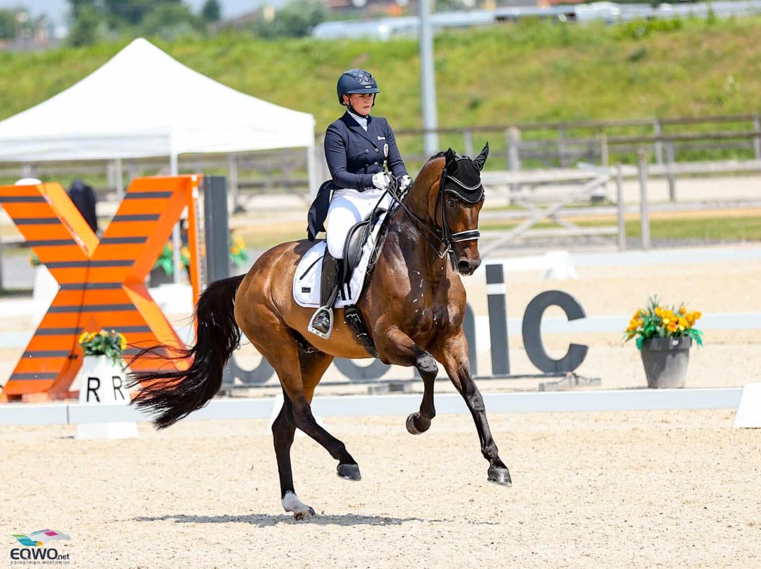 EQWO.net Adventkalender #7 – Jeremy Hein - Equestrian Worldwide ...