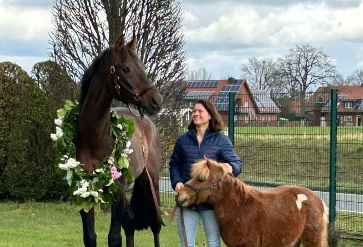 RIP: Marcus Ehning's Sandro Boy ist tot - Equestrian Worldwide ...