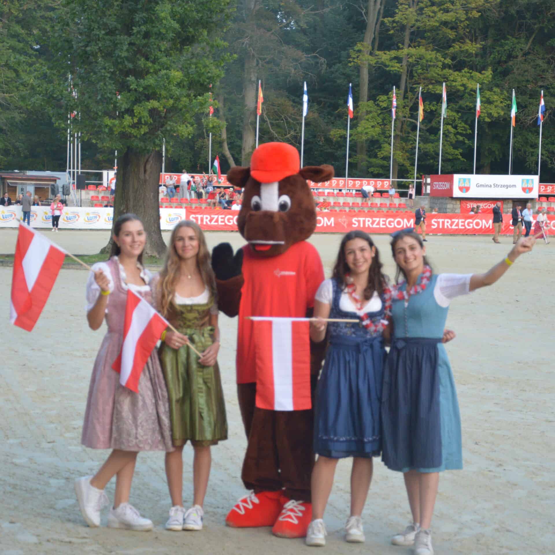 Hanoverian Stallion First Dance Available for Breeding in Kentucky ...