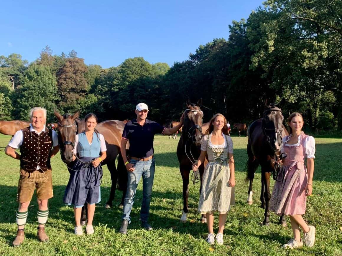 Hanoverian Stallion First Dance Available for Breeding in Kentucky ...