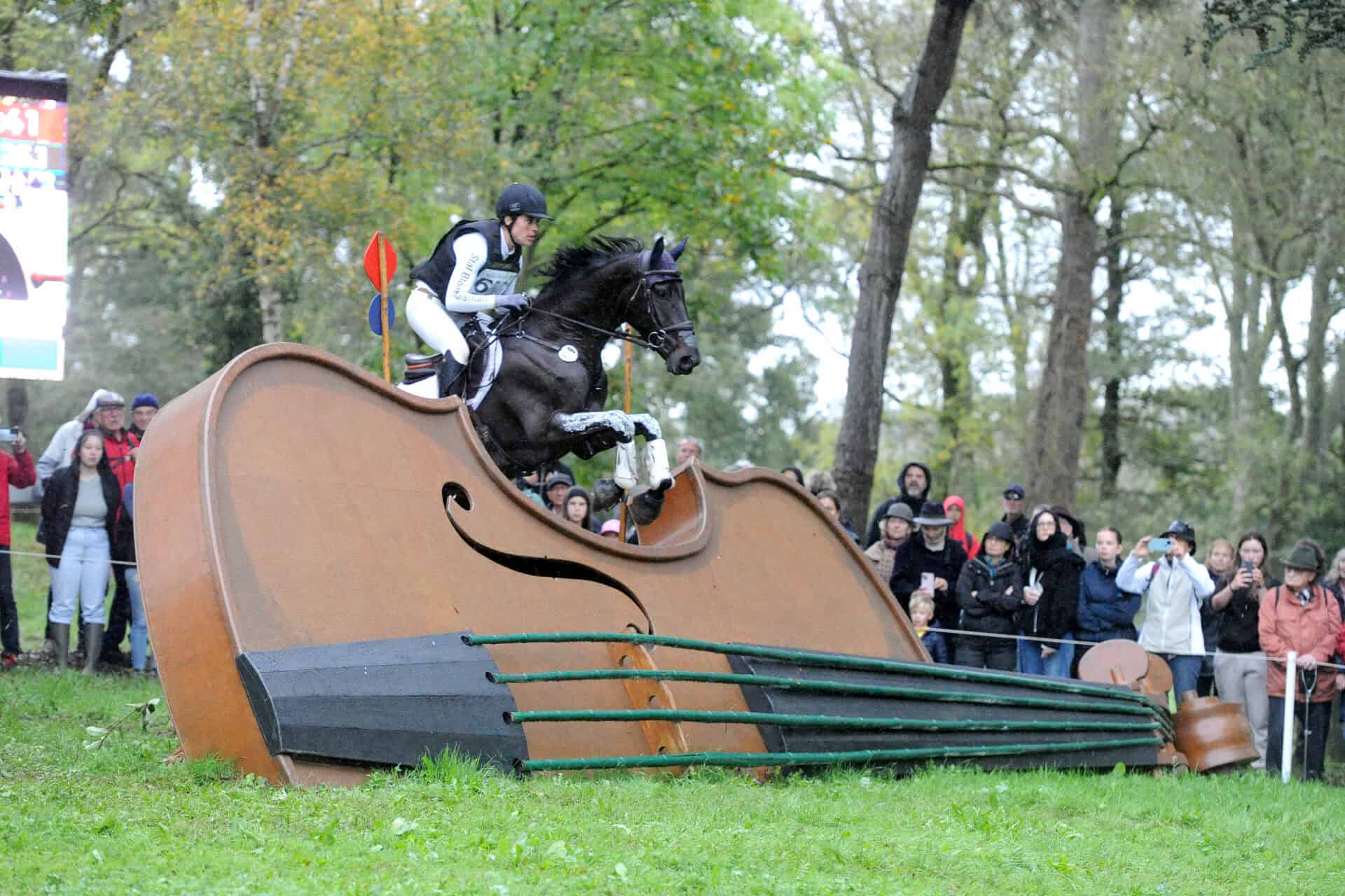 WM der jungen Geländepferde: Titel für Killer Queen & Chilli Morning IV ...