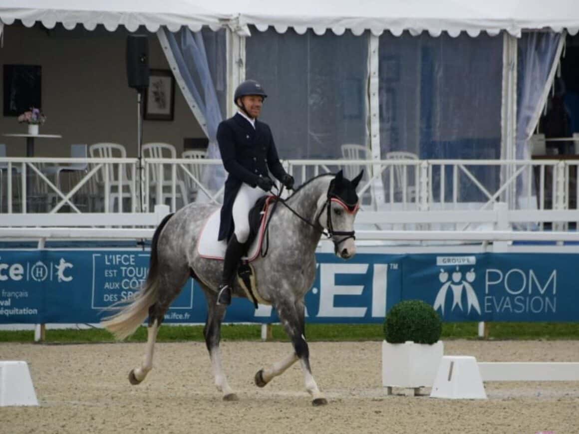 Hanoverian Stallion First Dance Available for Breeding in Kentucky ...