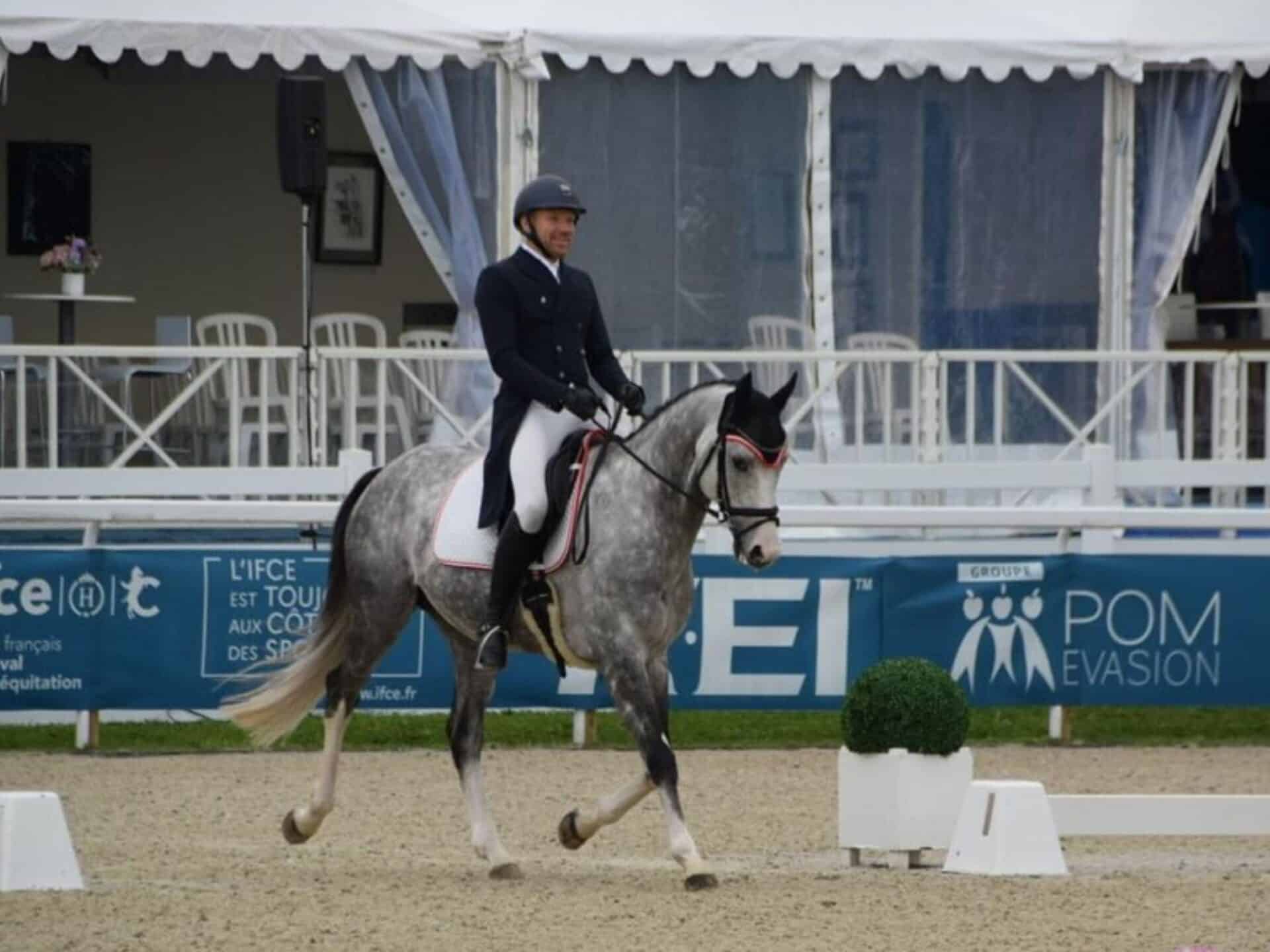 Hanoverian Stallion First Dance Available for Breeding in Kentucky ...