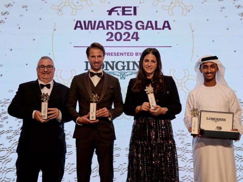 Hanoverian Stallion First Dance Available for Breeding in Kentucky ...