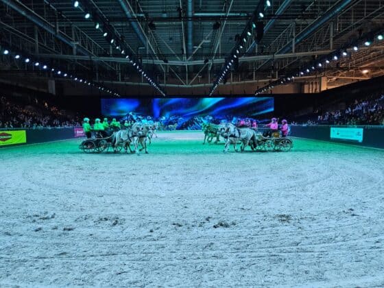 Equitana: Größte Pferdemesse der Welt startet in Essen - Equestrian ...
