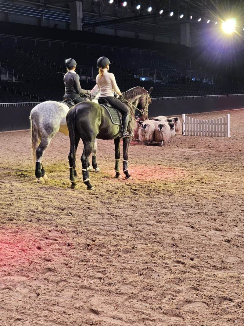 Equitana: Größte Pferdemesse der Welt startet in Essen - Equestrian ...