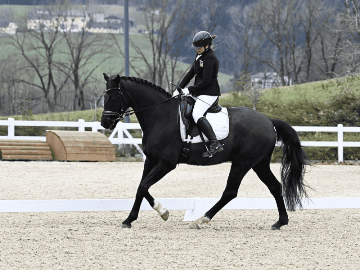 Comeback-Sieg für Lea Siegl & Fighting Line - Equestrian Worldwide ...