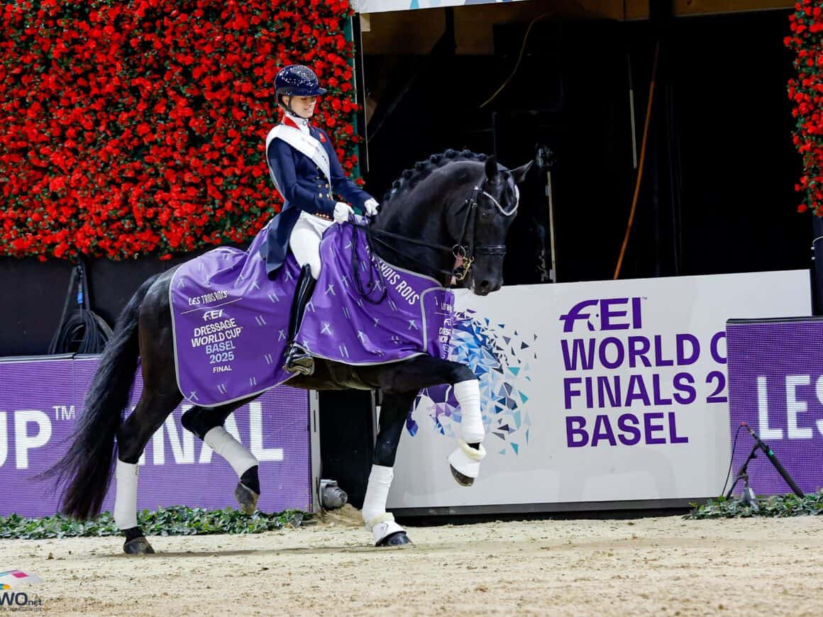 Weltrangliste Dressur: Florian Bacher bleibt bester Österreicher - Equestrian Worldwide ...