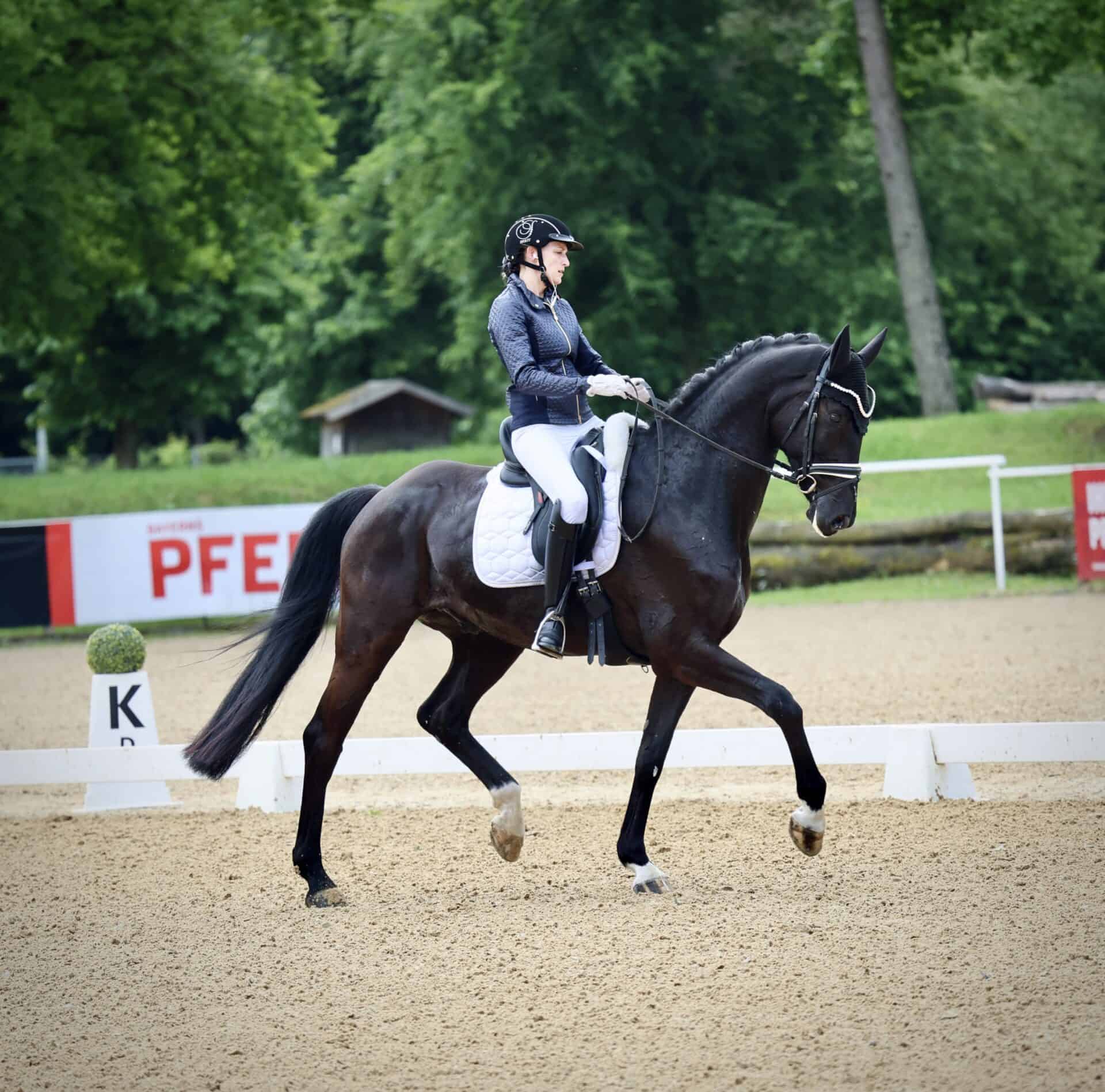 1. AWÖ-Sichtung für die WM der jungen Dressurpferde - Equestrian ...