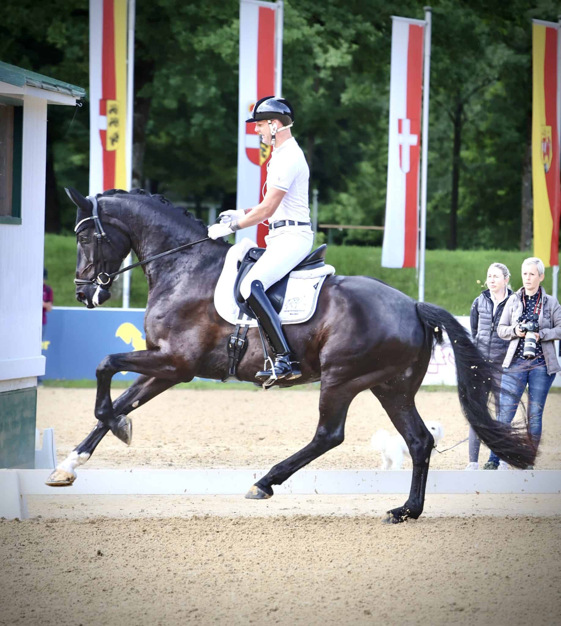 1. AWÖ-Sichtung für die WM der jungen Dressurpferde - Equestrian ...