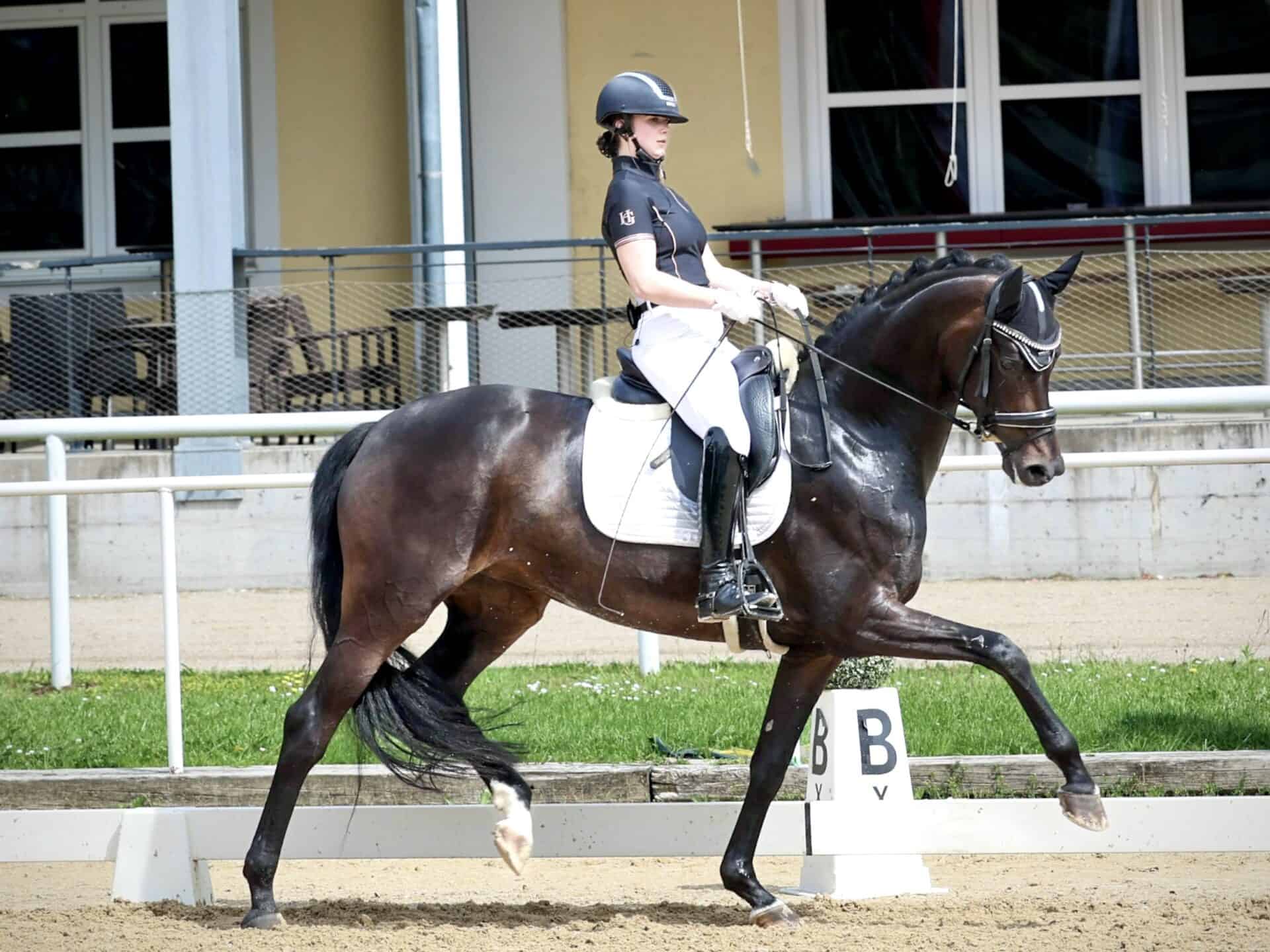Katrin Khoddam-Hazrati wird 6. in Wiesbaden - Equestrian Worldwide ...