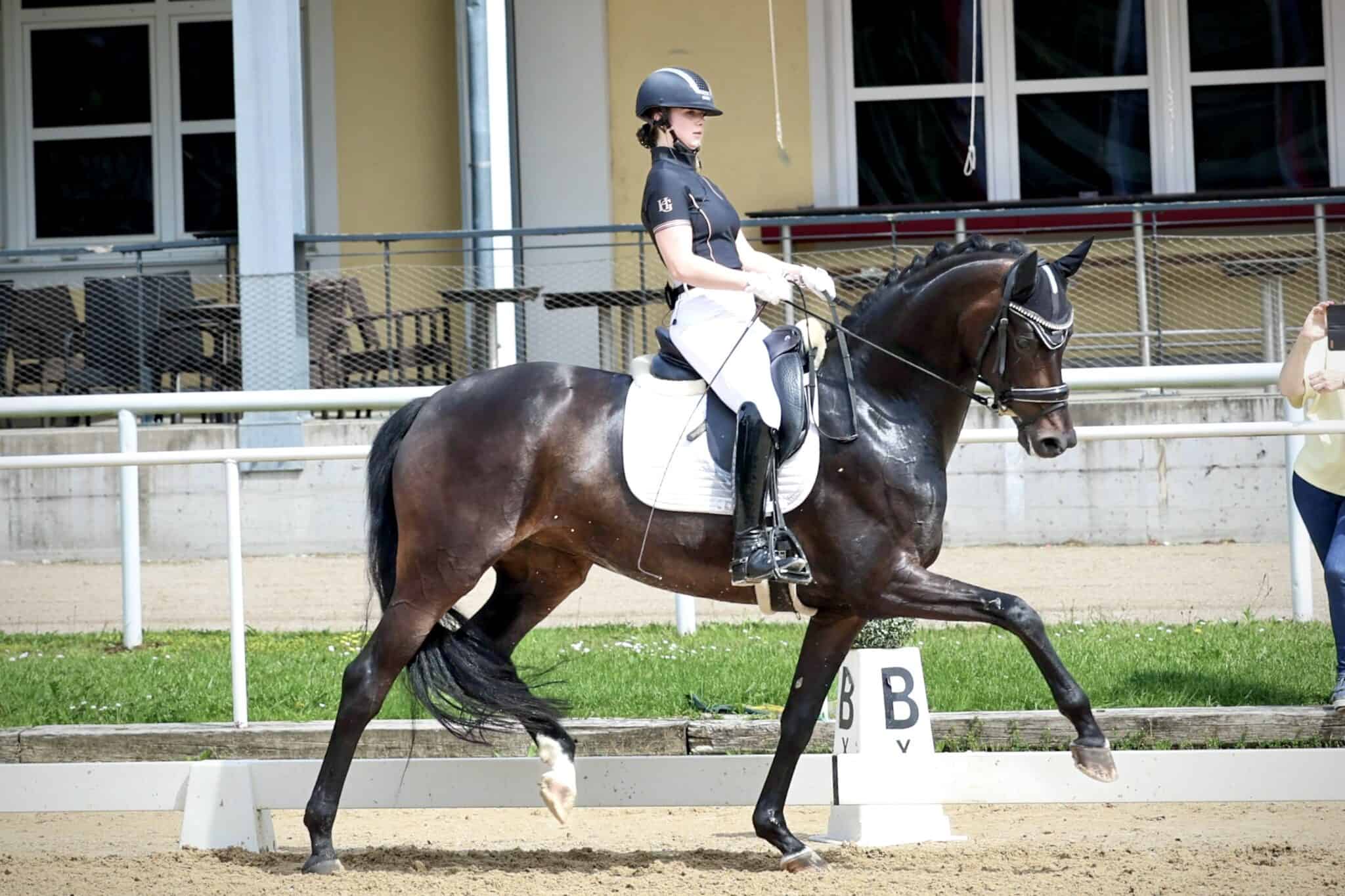 1. AWÖ-Sichtung für die WM der jungen Dressurpferde - Equestrian ...