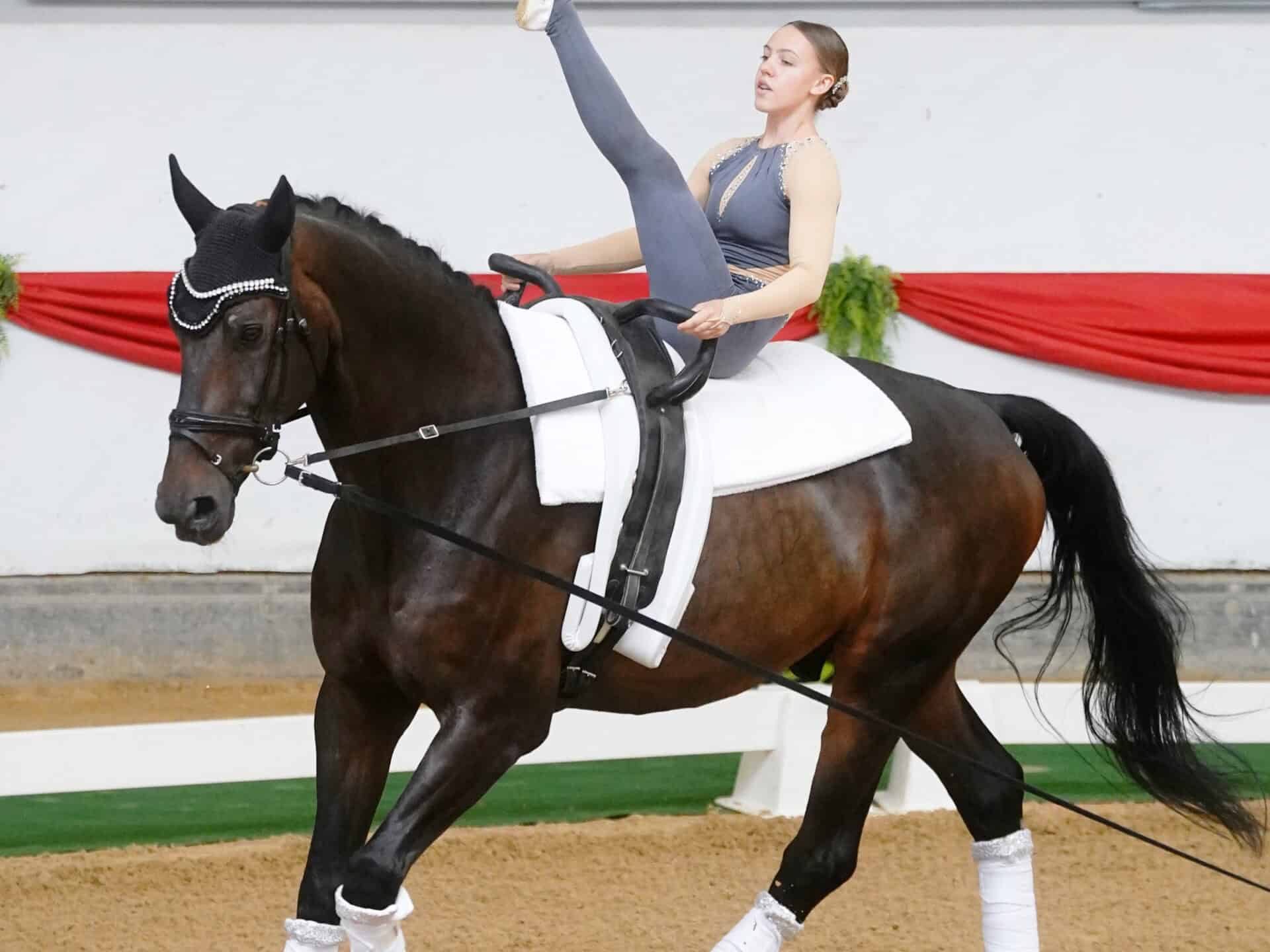 Weltrangliste Dressur: Florian Bacher bleibt bester Österreicher - Equestrian Worldwide ...