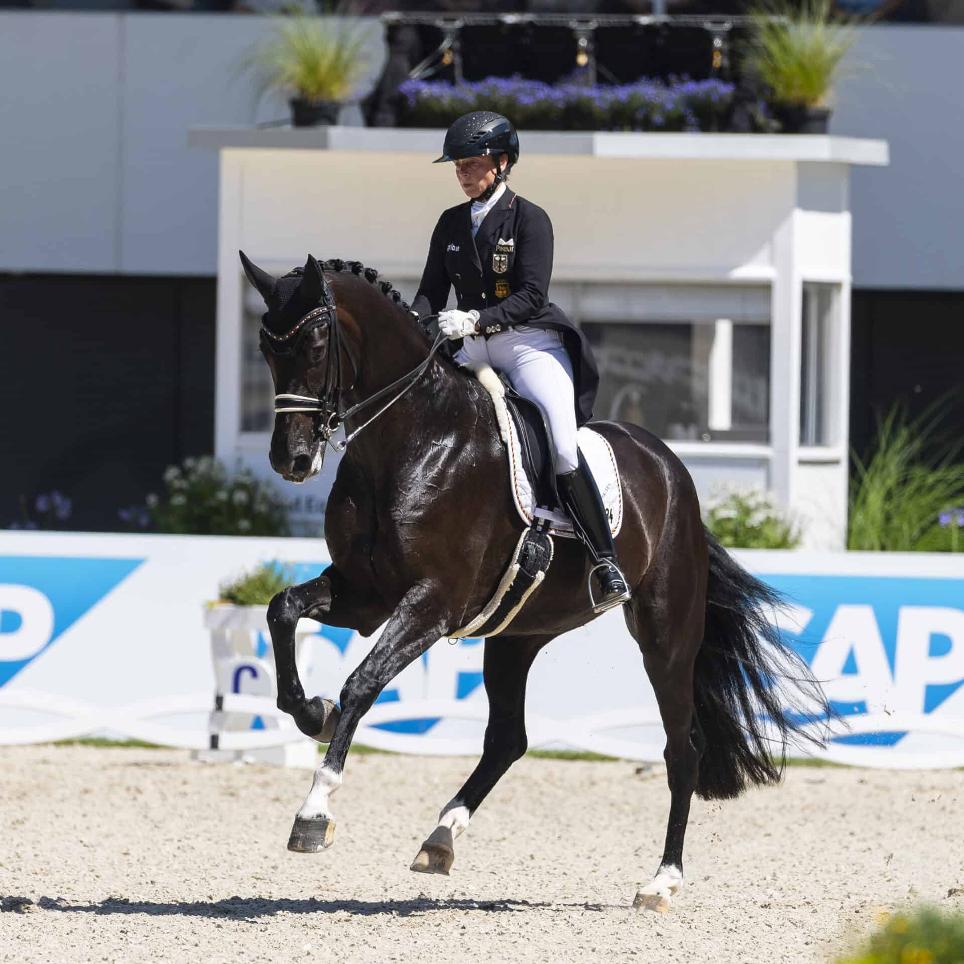 Global Champions Tour Kalender 2025: Von Mexiko bis Wien - Equestrian ...