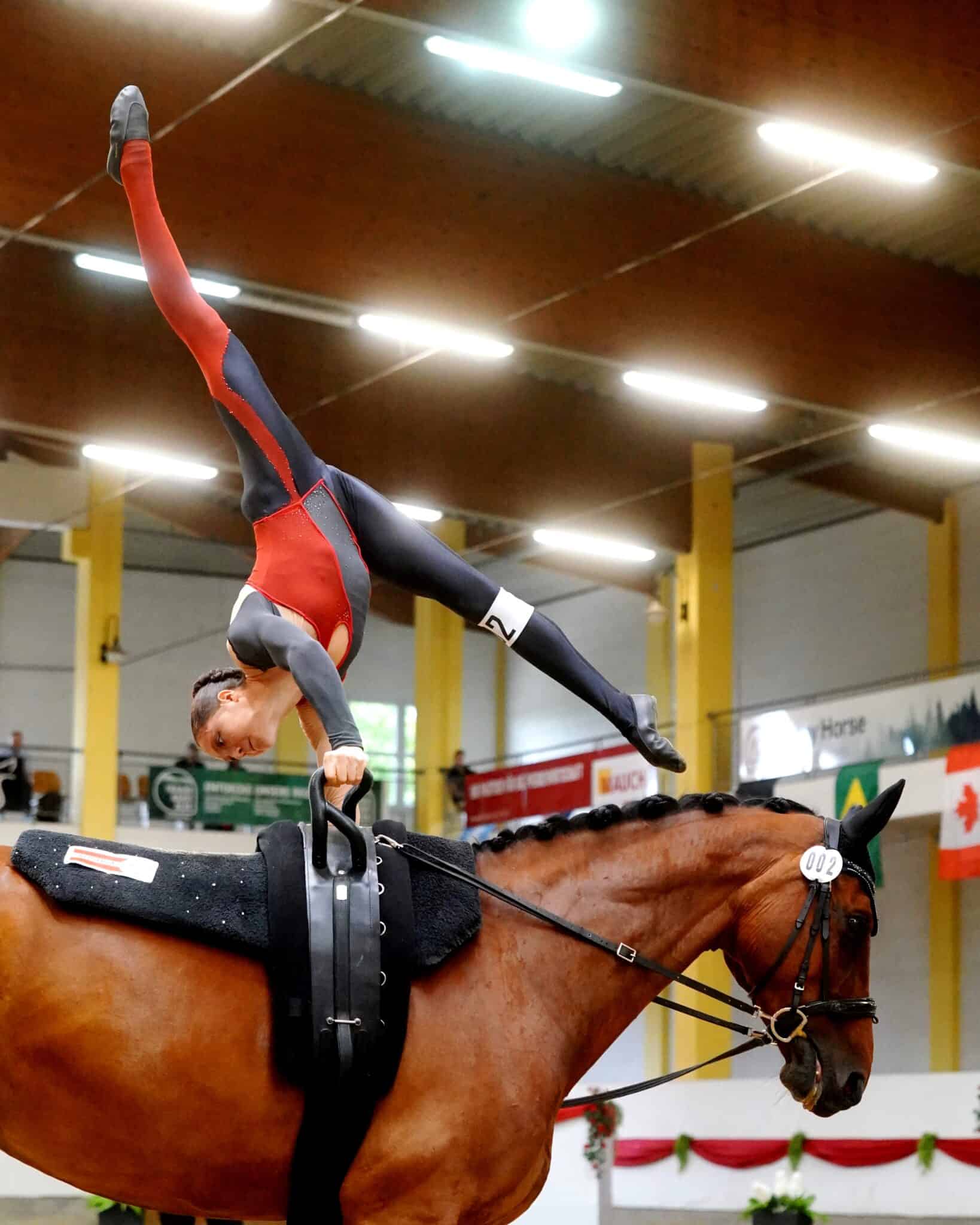 sterreichs Voltigieren Turnen Zu Neuem Medaillenrekord Equestrian sterreichs Voltigieren Turnen Zu Neuem Medaillenrekord Equestrian