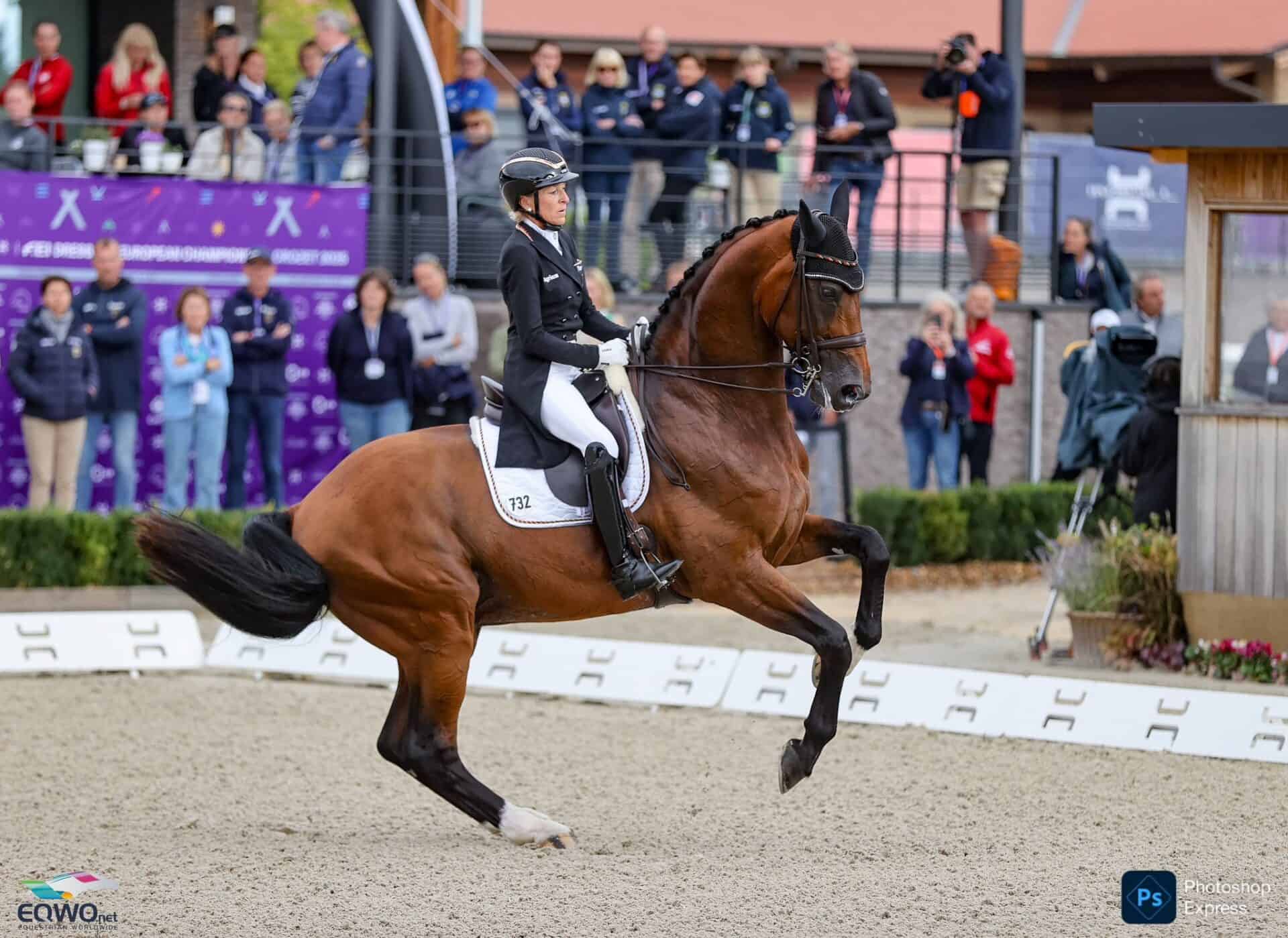 Justin Verboomen ist Europameister - Die große Nachlese - Equestrian ...