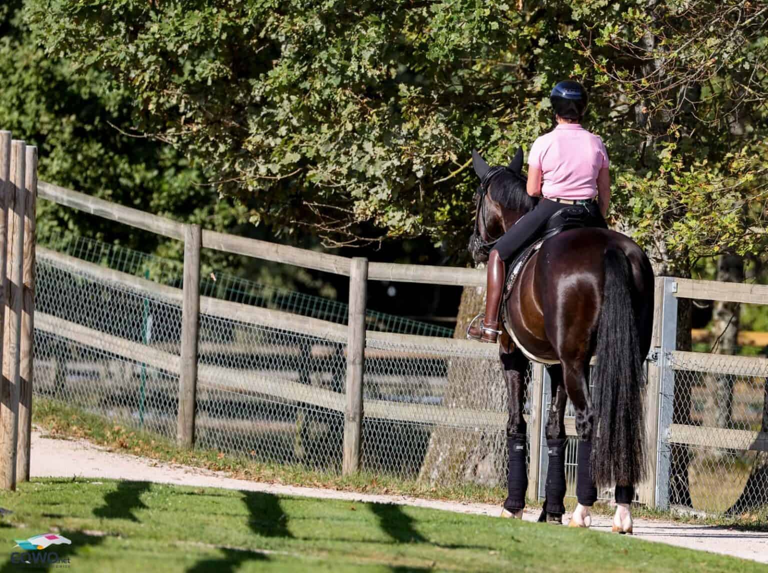 Isabell Werth nimmt sich Turnier-Auszeit - Equestrian Worldwide ...