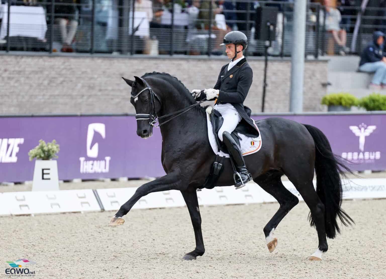 Justin Verboomen ist Europameister - Die große Nachlese - Equestrian ...