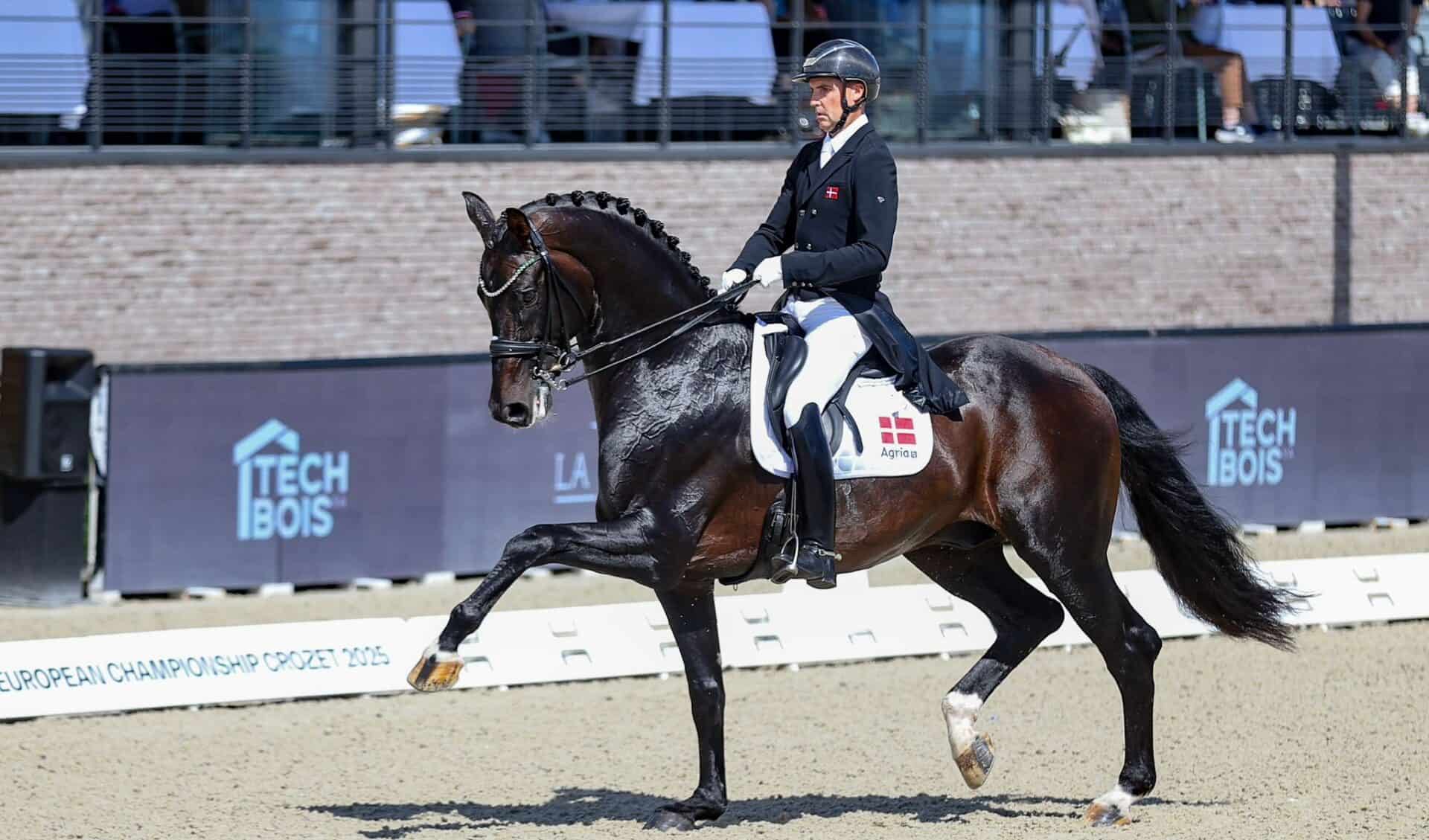 Jovian ist tot - Equestrian Worldwide | Pferdesport weltweit | EQWO.net