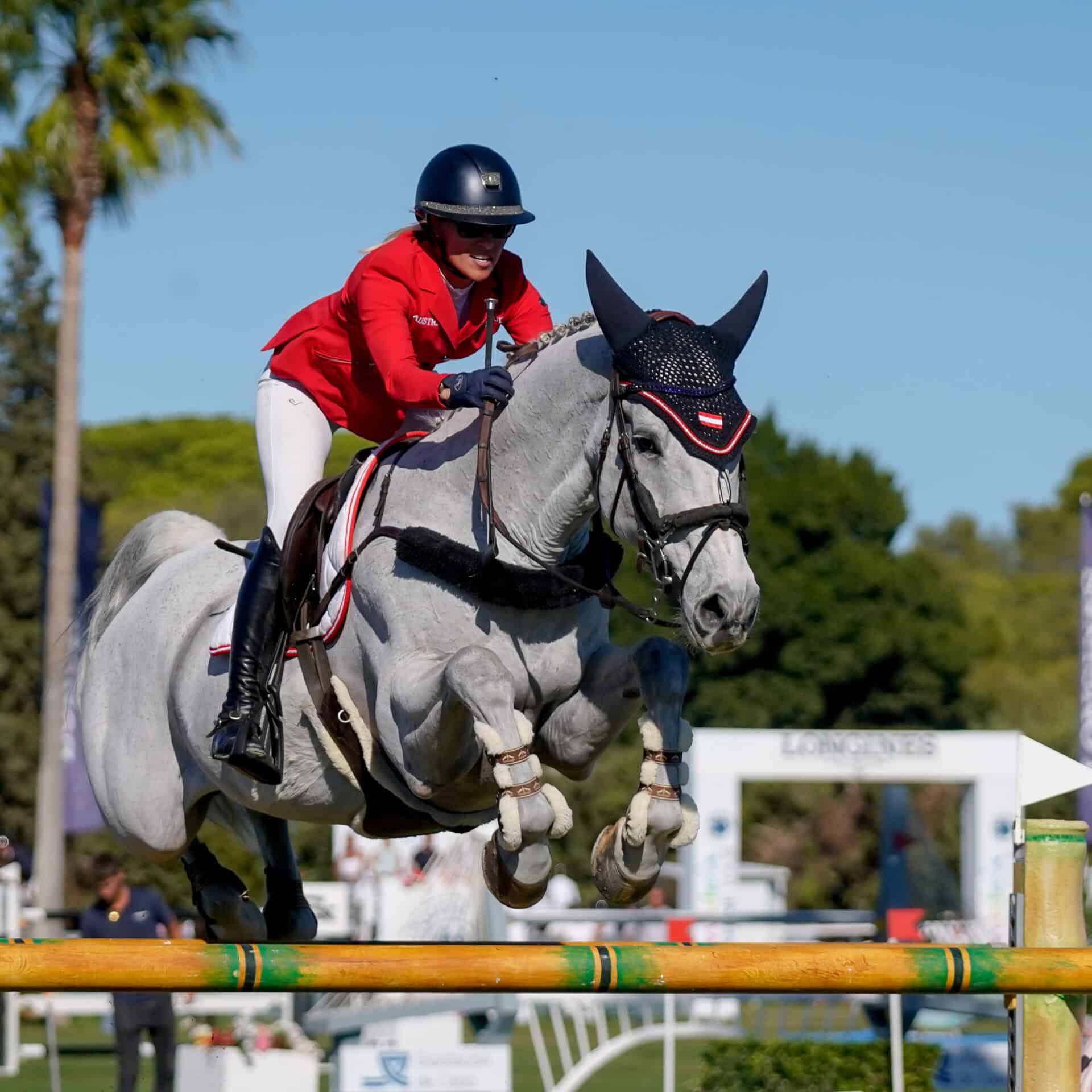 Breaking News: Das Glock Horse Performance Center beendet sein ...