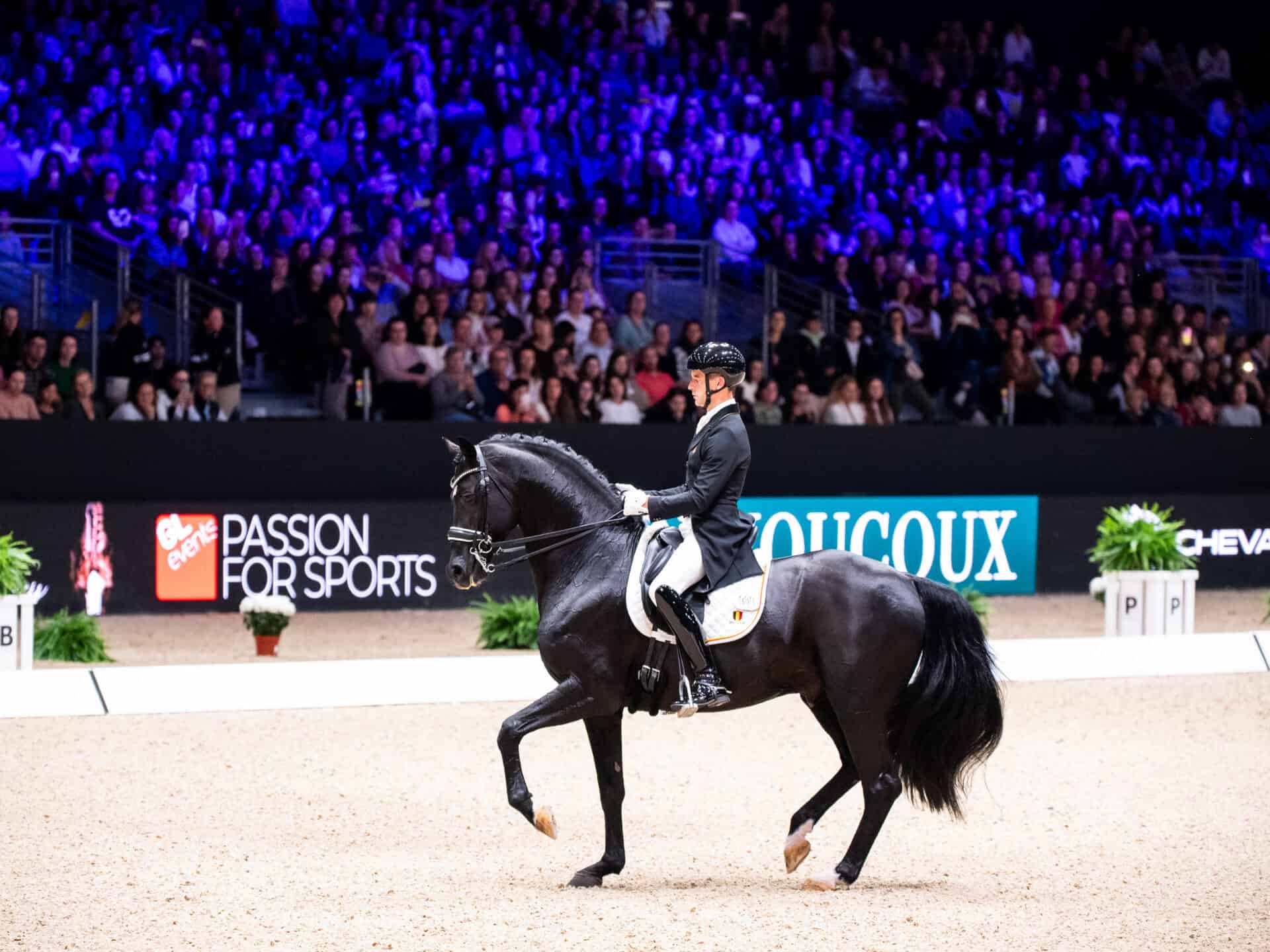 Pferde scheren #2: Schermuster im Überblick - Equestrian Worldwide ...