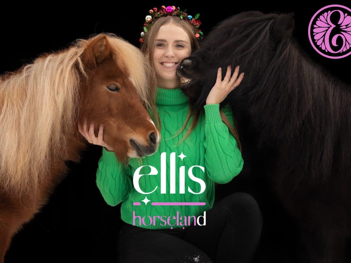 Turnier Nennen: OEPS stellt endgültig auf neues Portal um - Equestrian ...